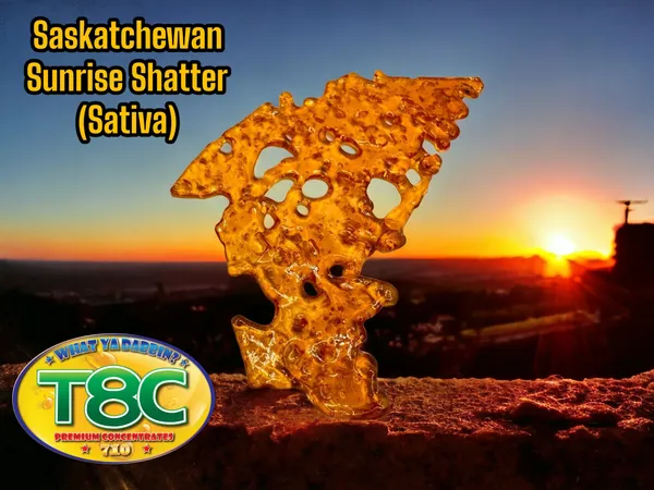 T8C – Sunrise Sask – 1g Shatter – Prairie Cannabis – 22nd Street